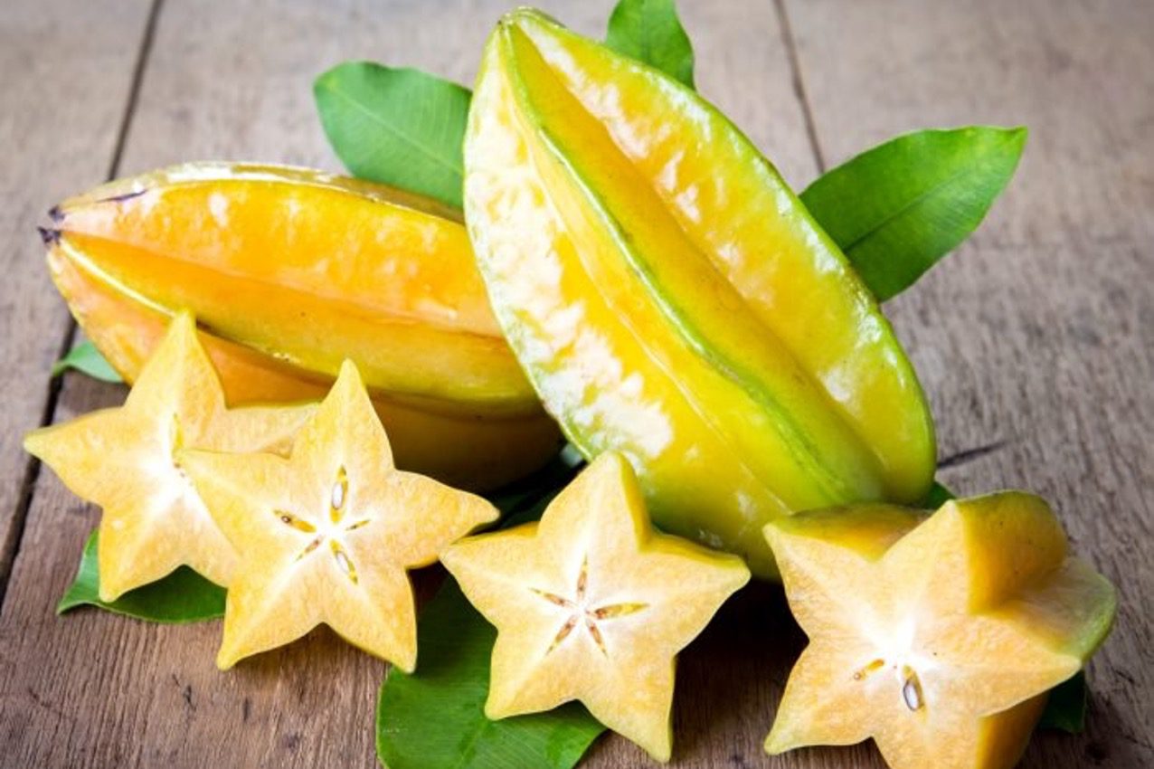Star Apple Coco Hill Forest