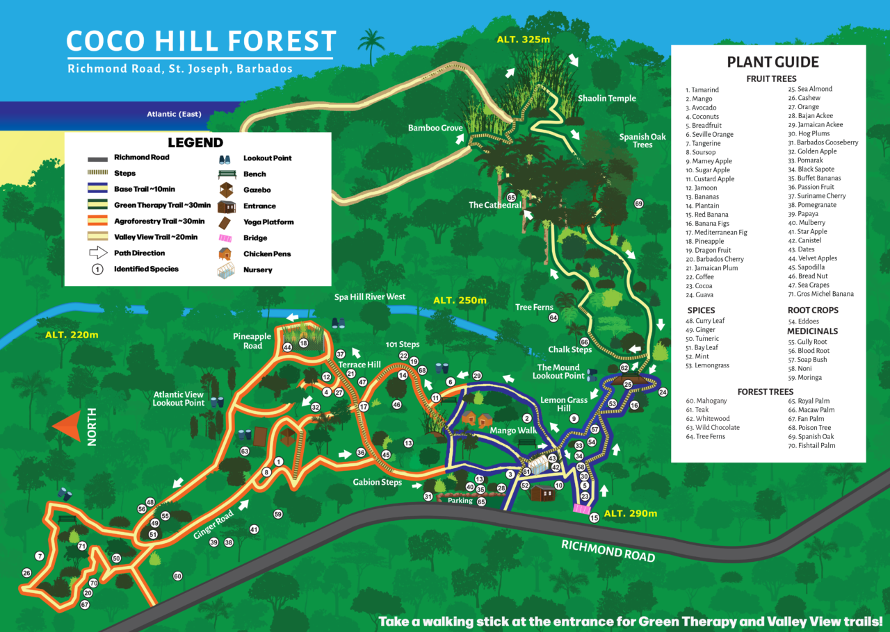 Hiking & Tours | Coco Hill Forest